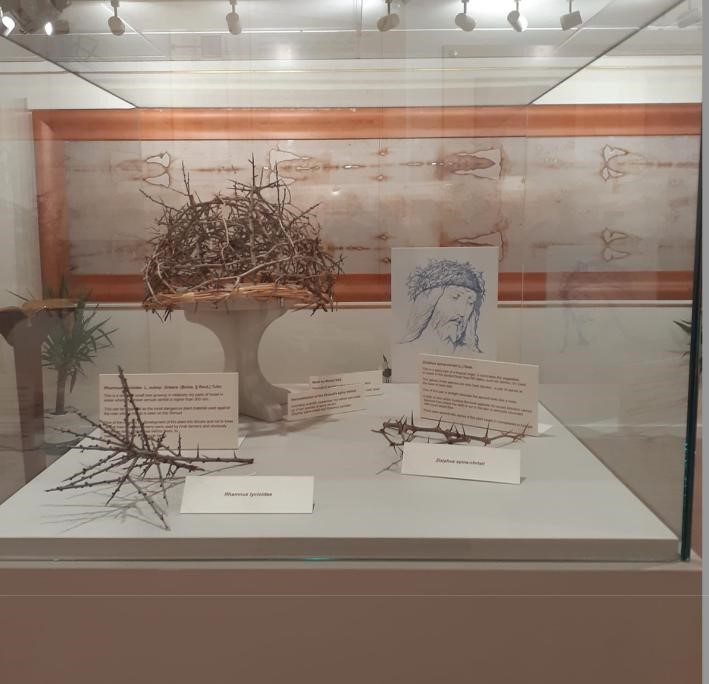 Shroud of Turin Exhibit – St. Thomas the Apostle Church